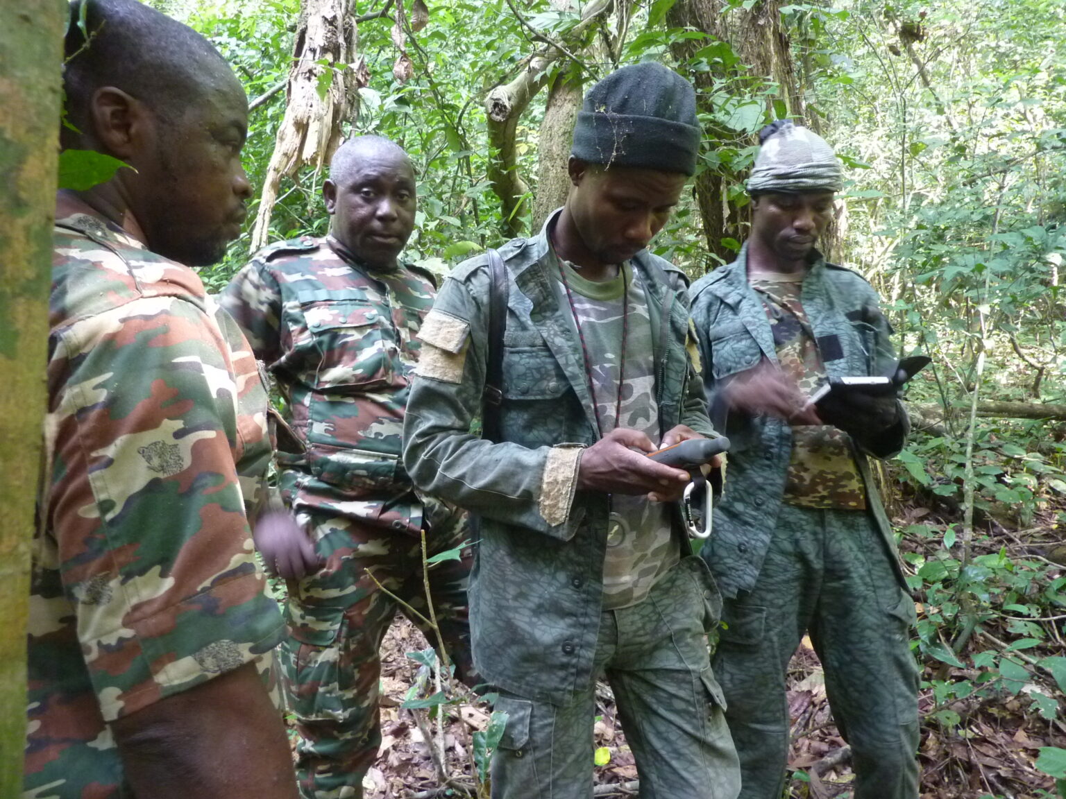 Inventaire forestier et faunique national (IFFN) de la Côte d’Ivoire ...