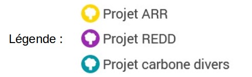 Projets Carbone forestier - ONF International